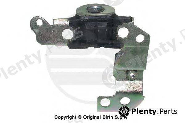 BIRTH part 2417 Control Arm-/Trailing Arm Bush - Plenty.Parts